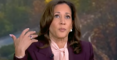 Kamala Harris Faces Renewed Criticism After The View Interview Sparks ...